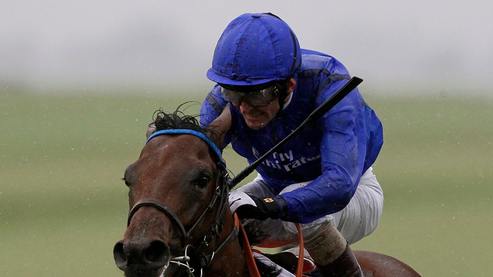 Jim Bolger delighted with thriving Guineas hope Herald The Dawn ...