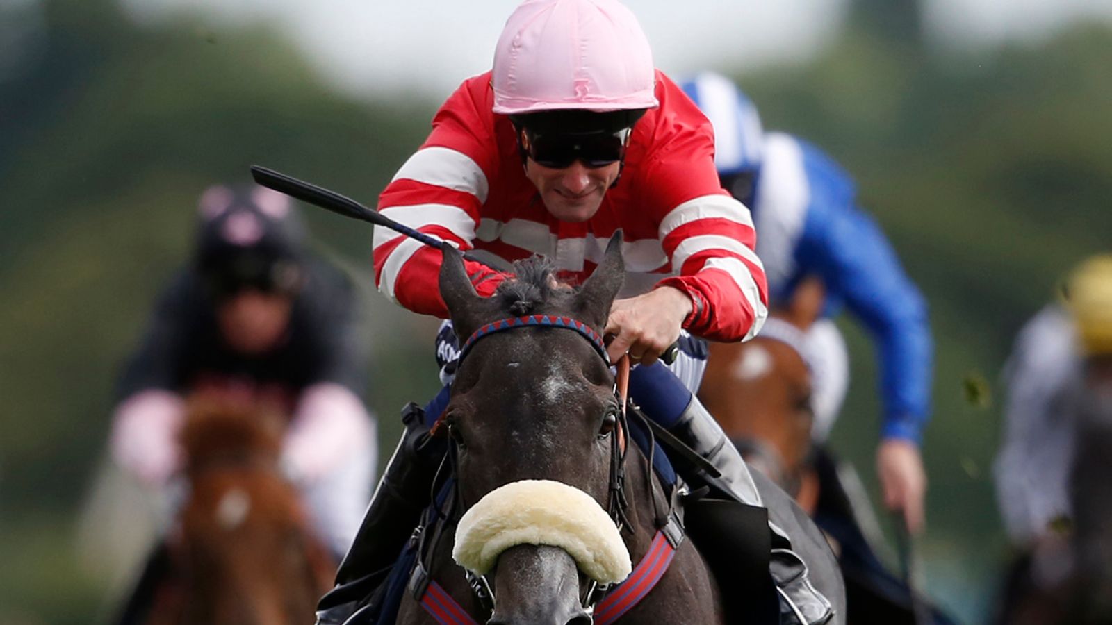 Michael Dods may run Mecca's Angel in Champions Sprint at Ascot ...