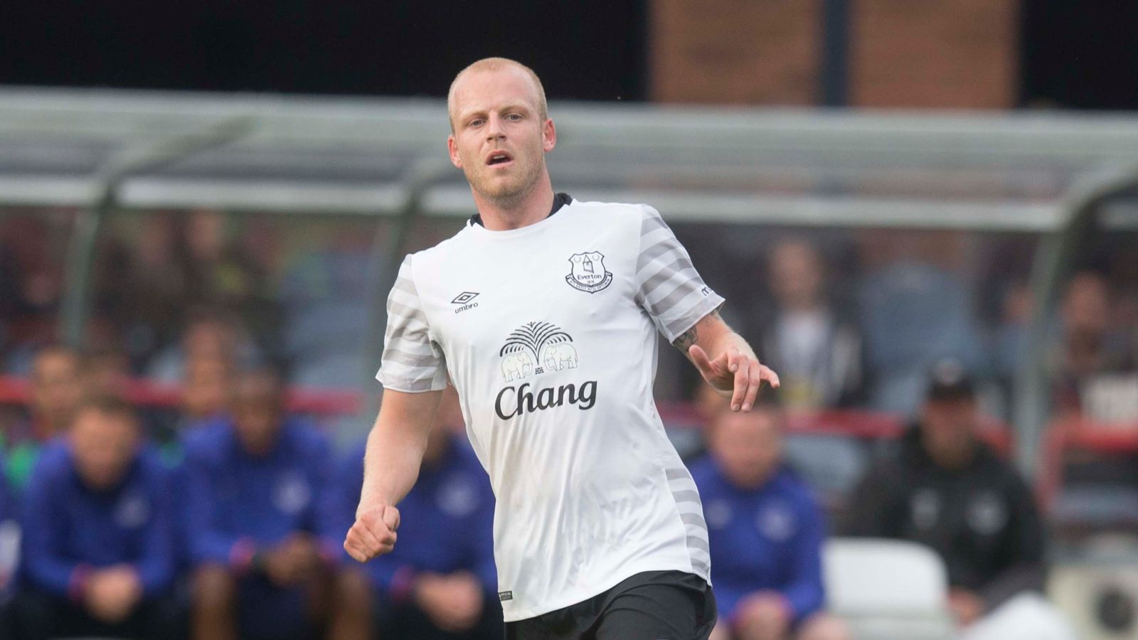 Steven Naismith says Everton could push for Champions League spot ...