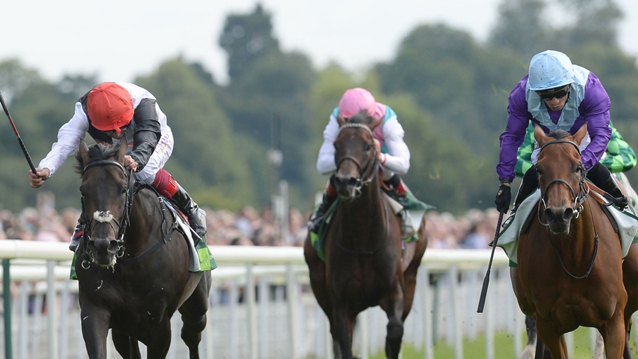 Golden Horn could travel to France for the Prix de l'Arc de Triomphe ...
