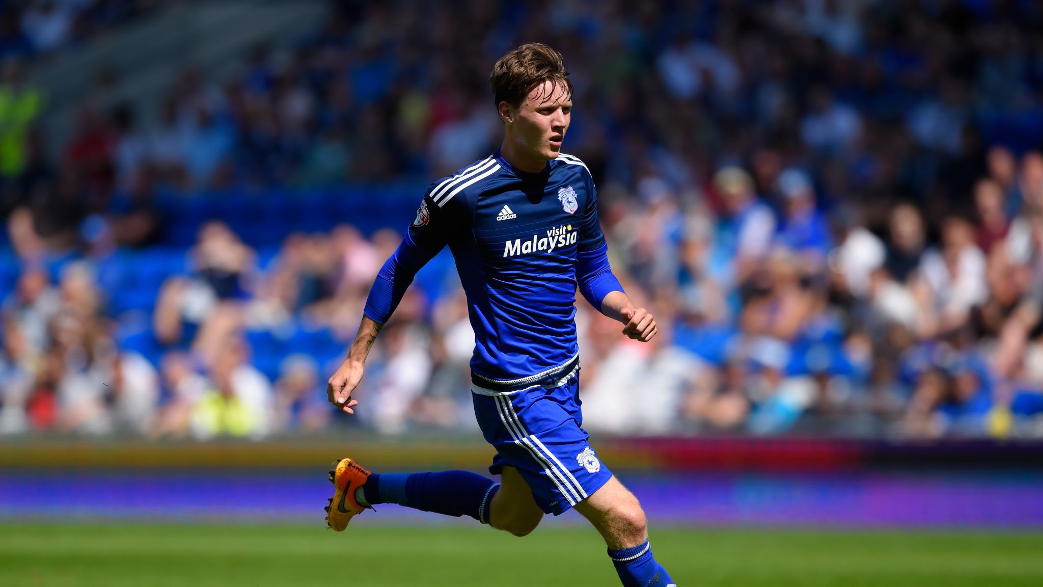 Wolves in 'advanced discussions' with Cardiff over Joe Mason deal ...