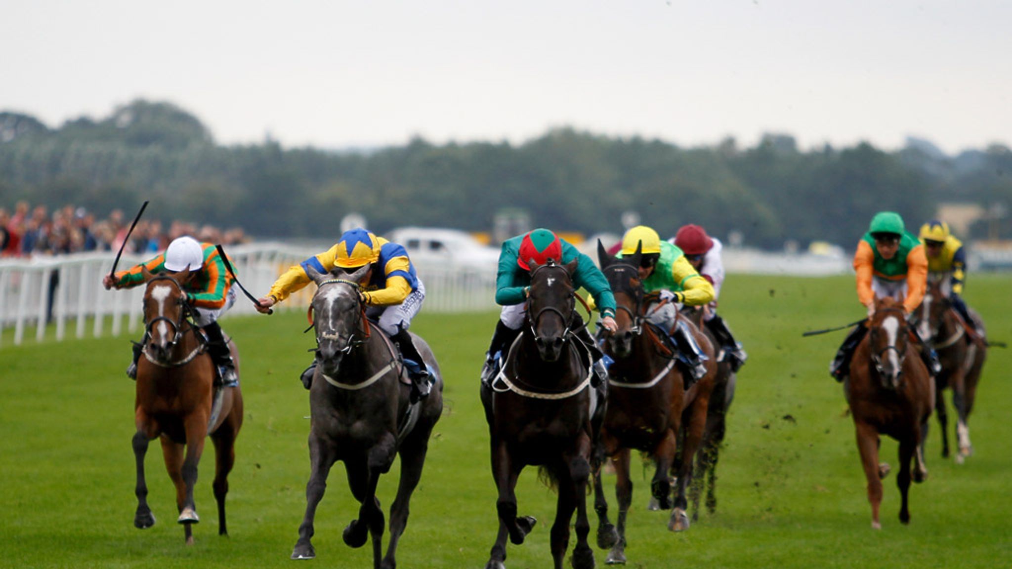 A review of the racing from Ripon on Champion Two Year Old Trophy day ...