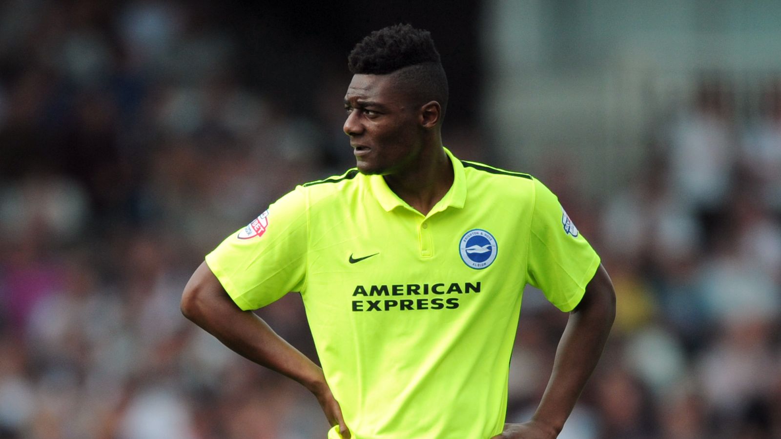 Rohan Ince joins Fulham on loan from Brighton | Football News | Sky Sports