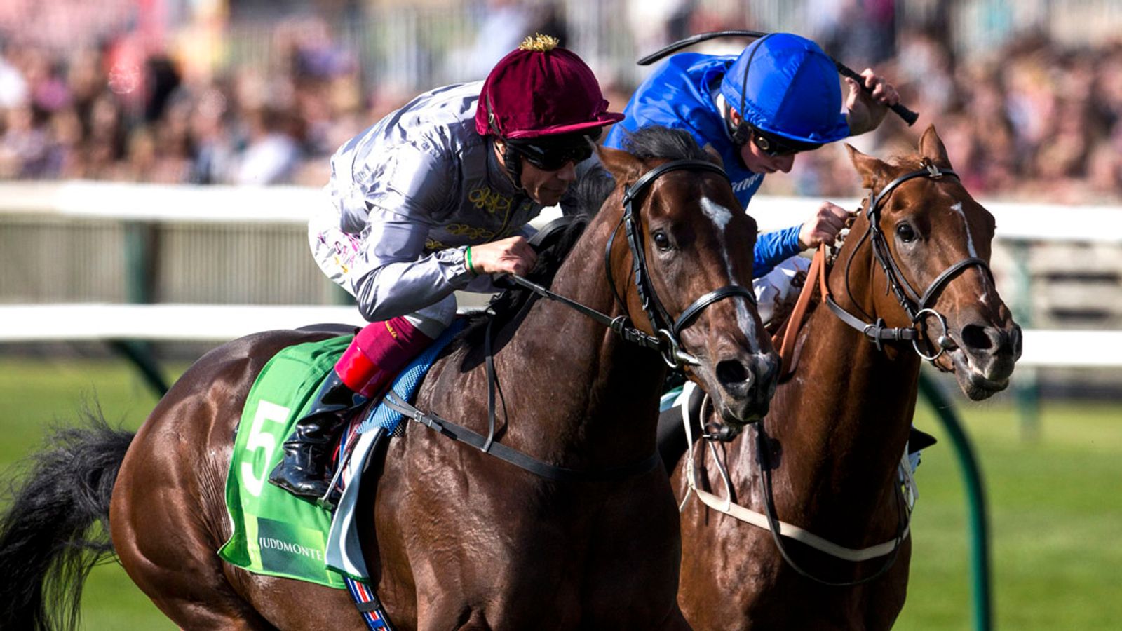 Shalaa a possible for Ascot sprint on Champions Day | Racing News | Sky ...