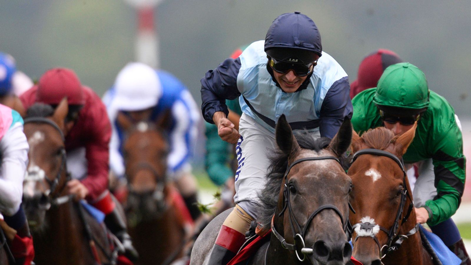 St Leger winner Kingston Hill has been retired to stand at Coolmore ...