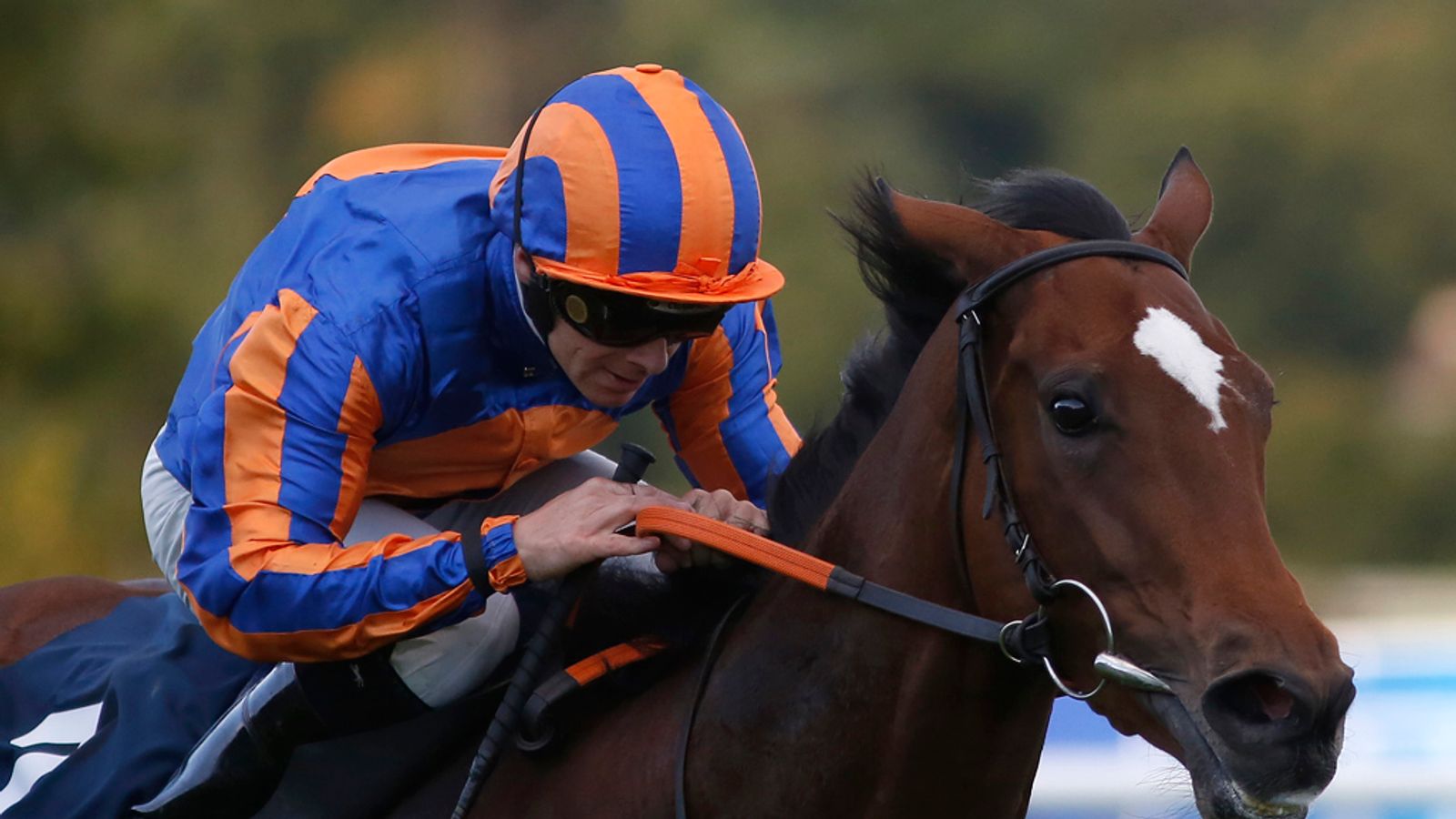 David Wachman announces retirement of Legatissimo | Racing News | Sky ...