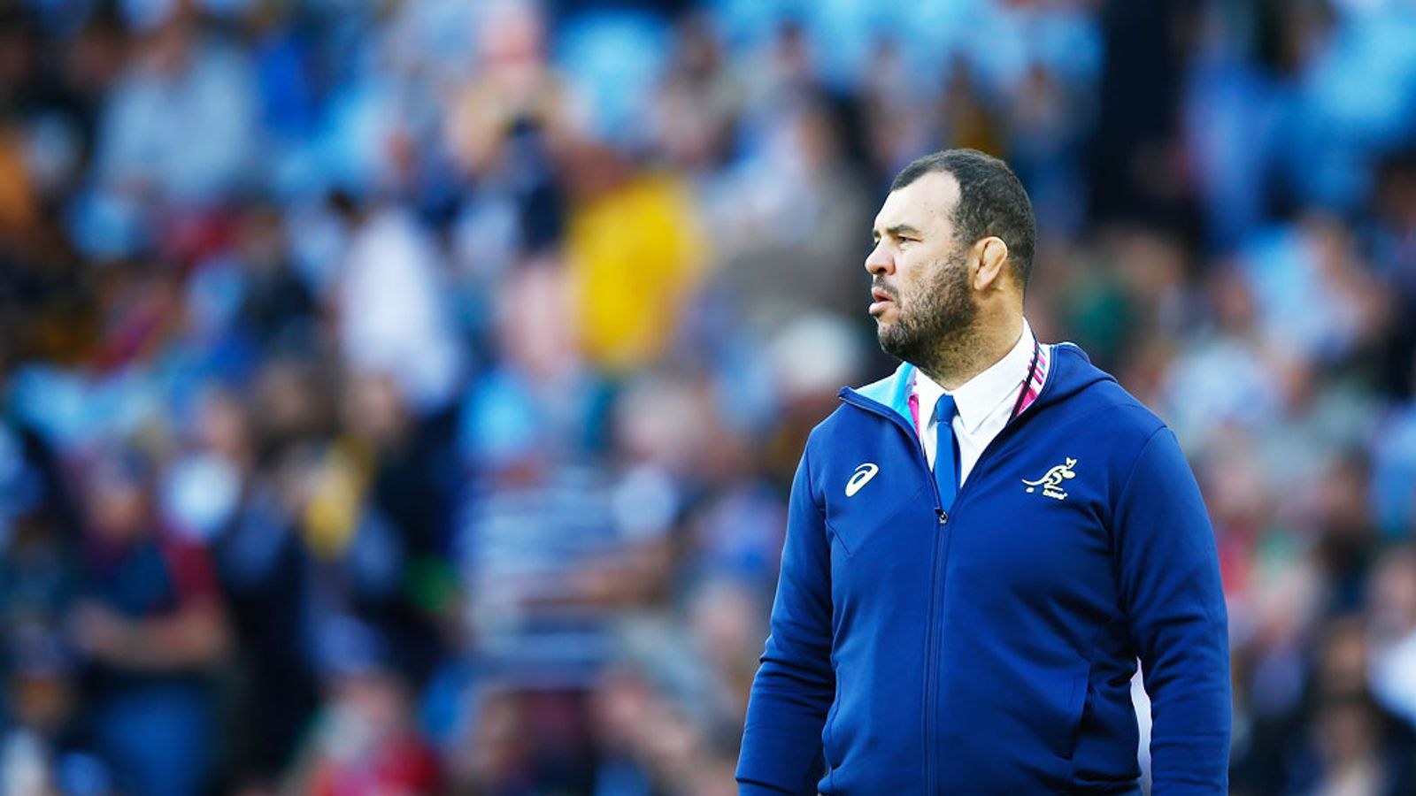 Michael Cheika says Australia need to improve if they are to defeat ...