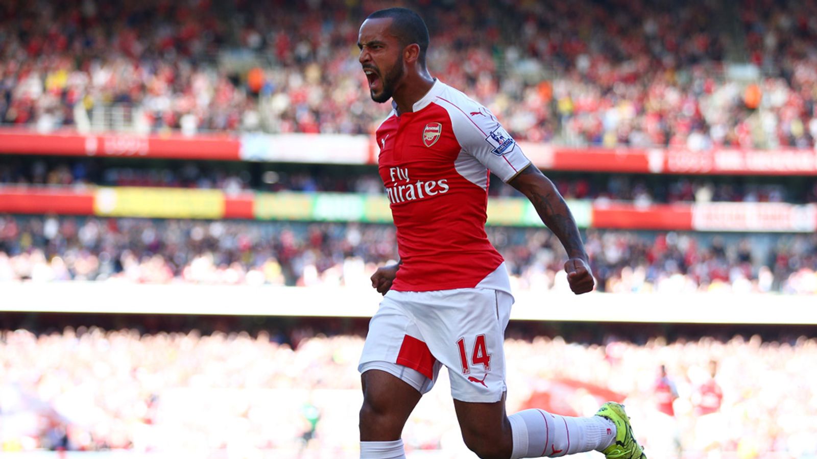 Theo Walcott is first choice Arsenal striker, says Arsene Wenger ...