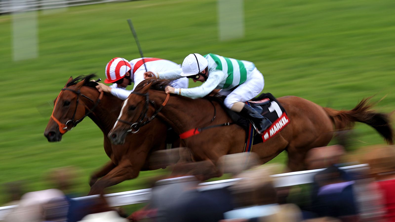 Marcus Tregoning excited by Sir Percy filly Alamode | Racing News | Sky ...