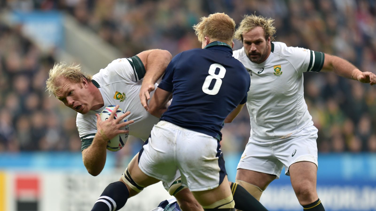 Scotland No 8 David Denton reckons the World Cup will thrive | Rugby ...
