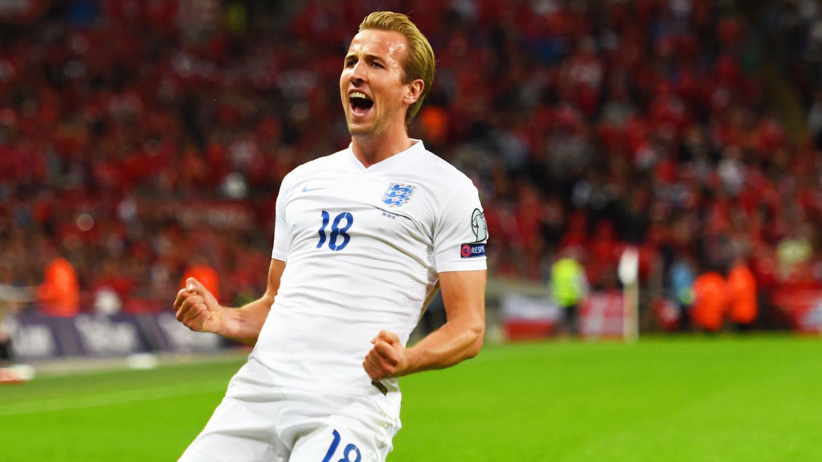 England boss Roy Hodgson wants Harry Kane to cement England place ...