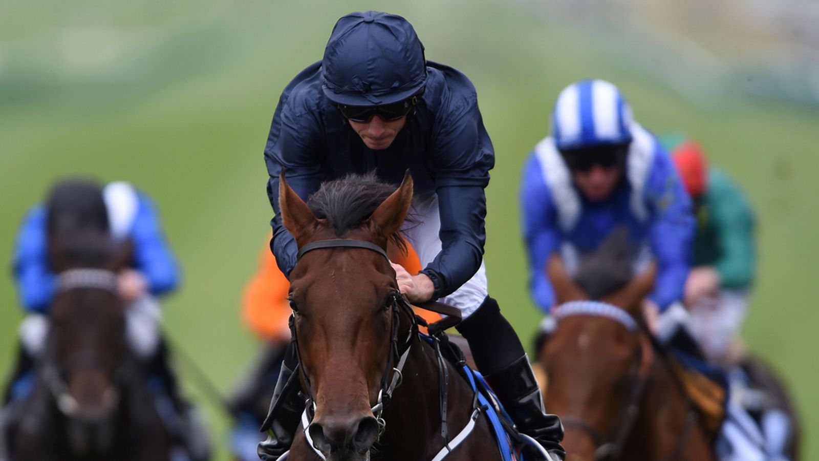 Owen Burrows confident Masssat can tackle Air Force Blue | Racing News ...