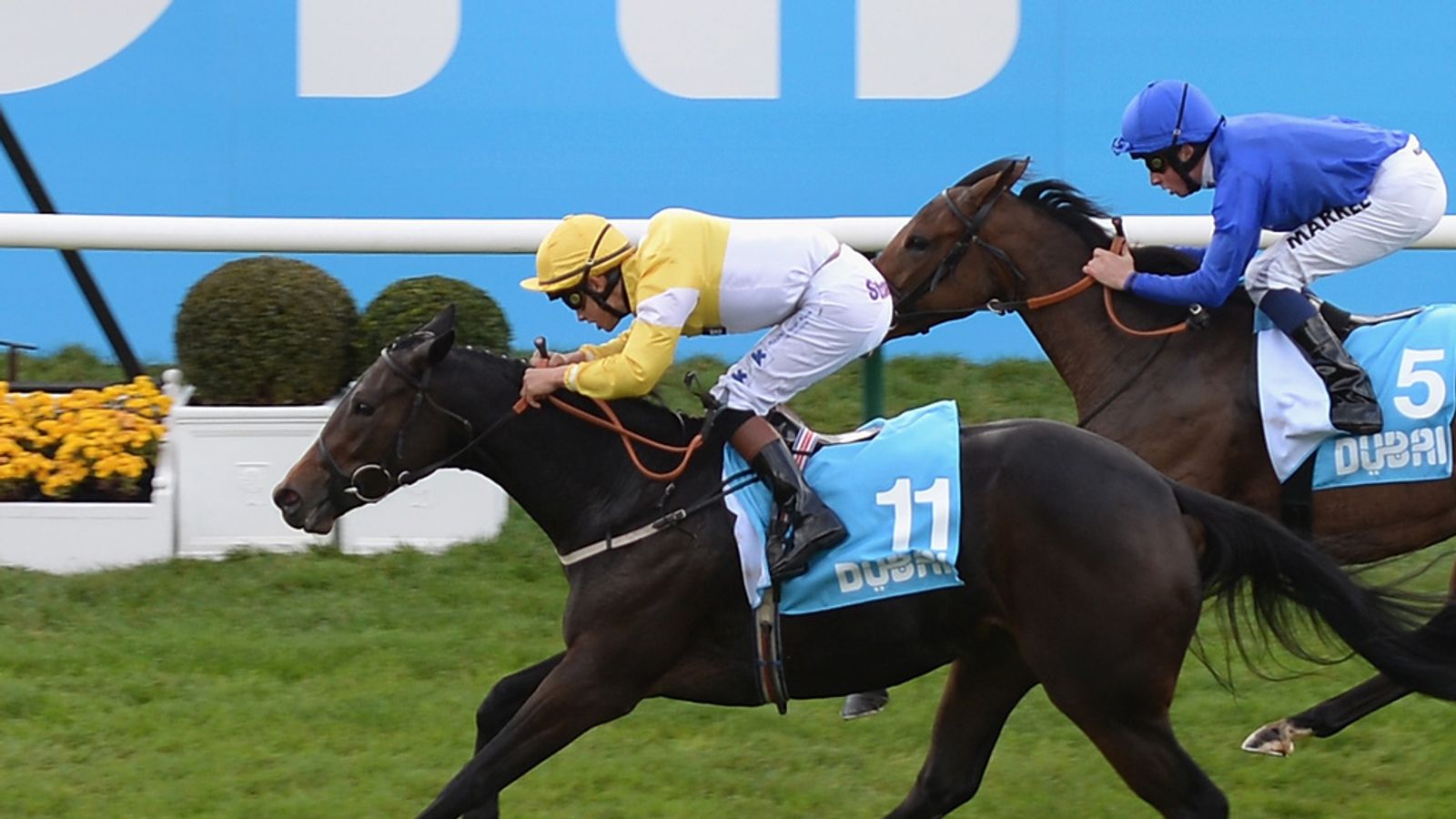 Jordan Vaughan sustains broken leg in fall at York | Racing News | Sky ...