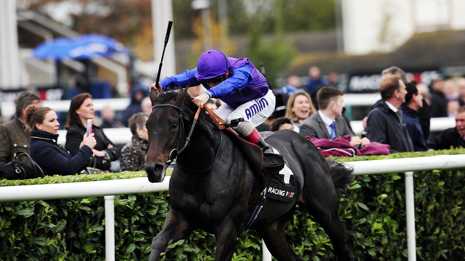 Peter Chapple-Hyam is likely to step Racing Post Trophy winner Marcel ...