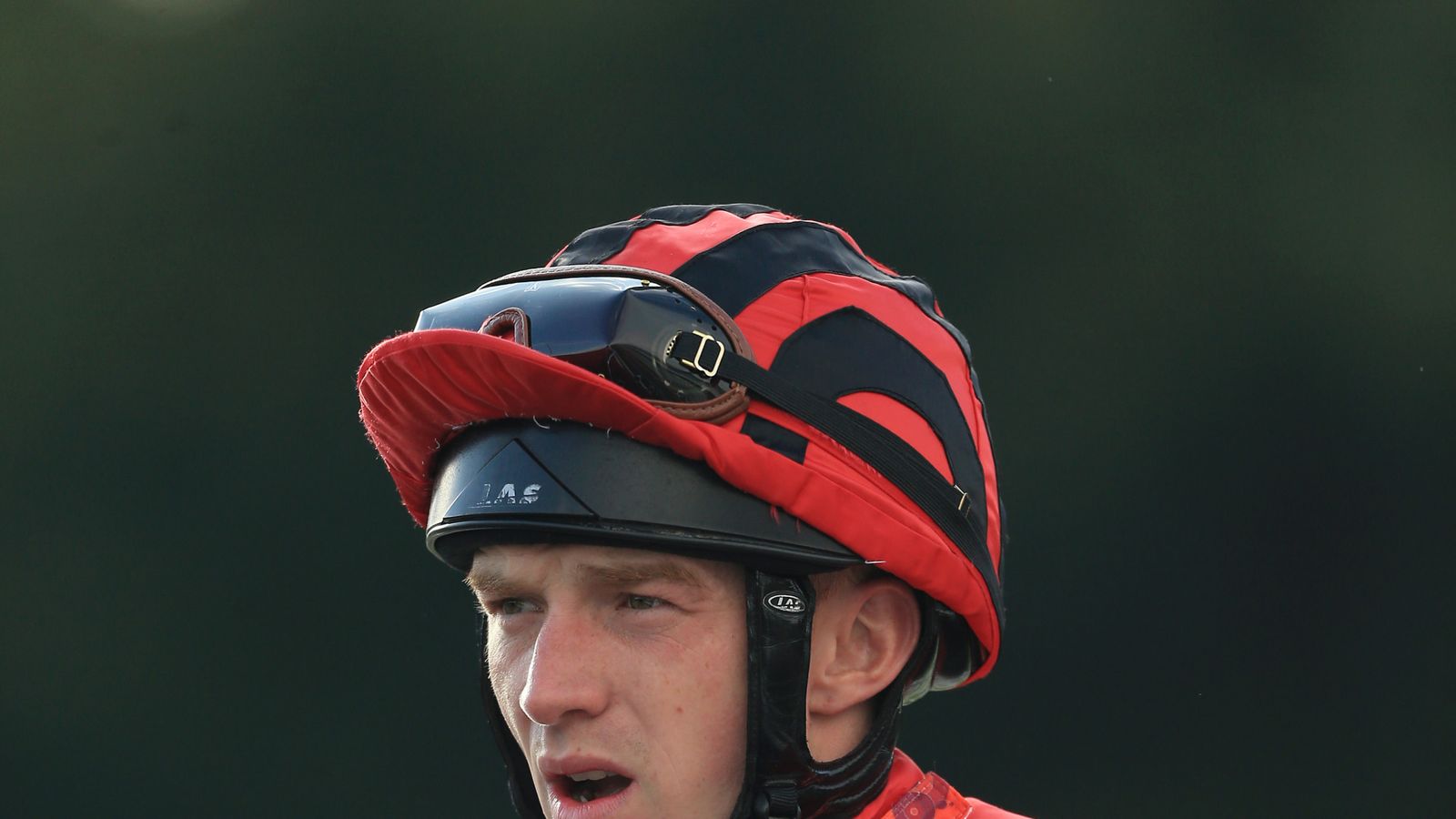 Michael Stainton banned for two years over Ad Vitam affair | Racing ...