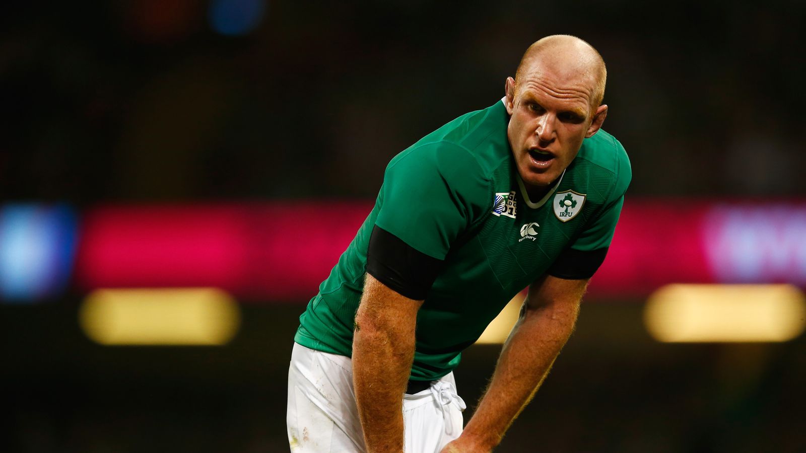 Ireland captain Paul O’Connell ready for physical challenge from Italy ...