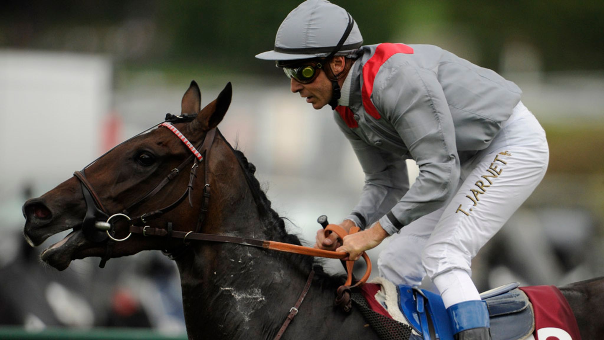 Dual Arc heroine Treve left Criquette Head-Maarek's stable in Chantilly ...