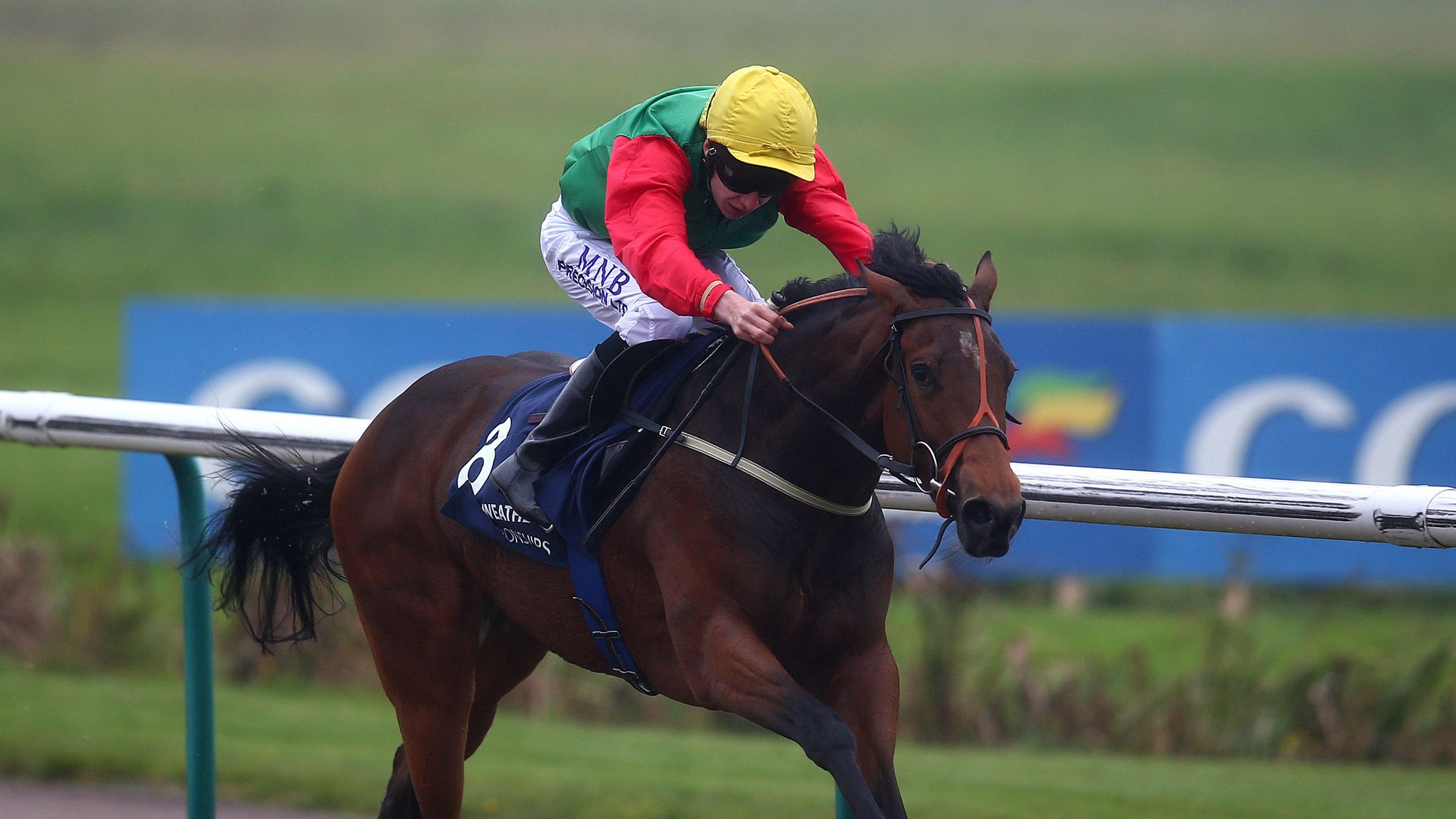 Luke Morris rides Lingfield treble | Racing News | Sky Sports