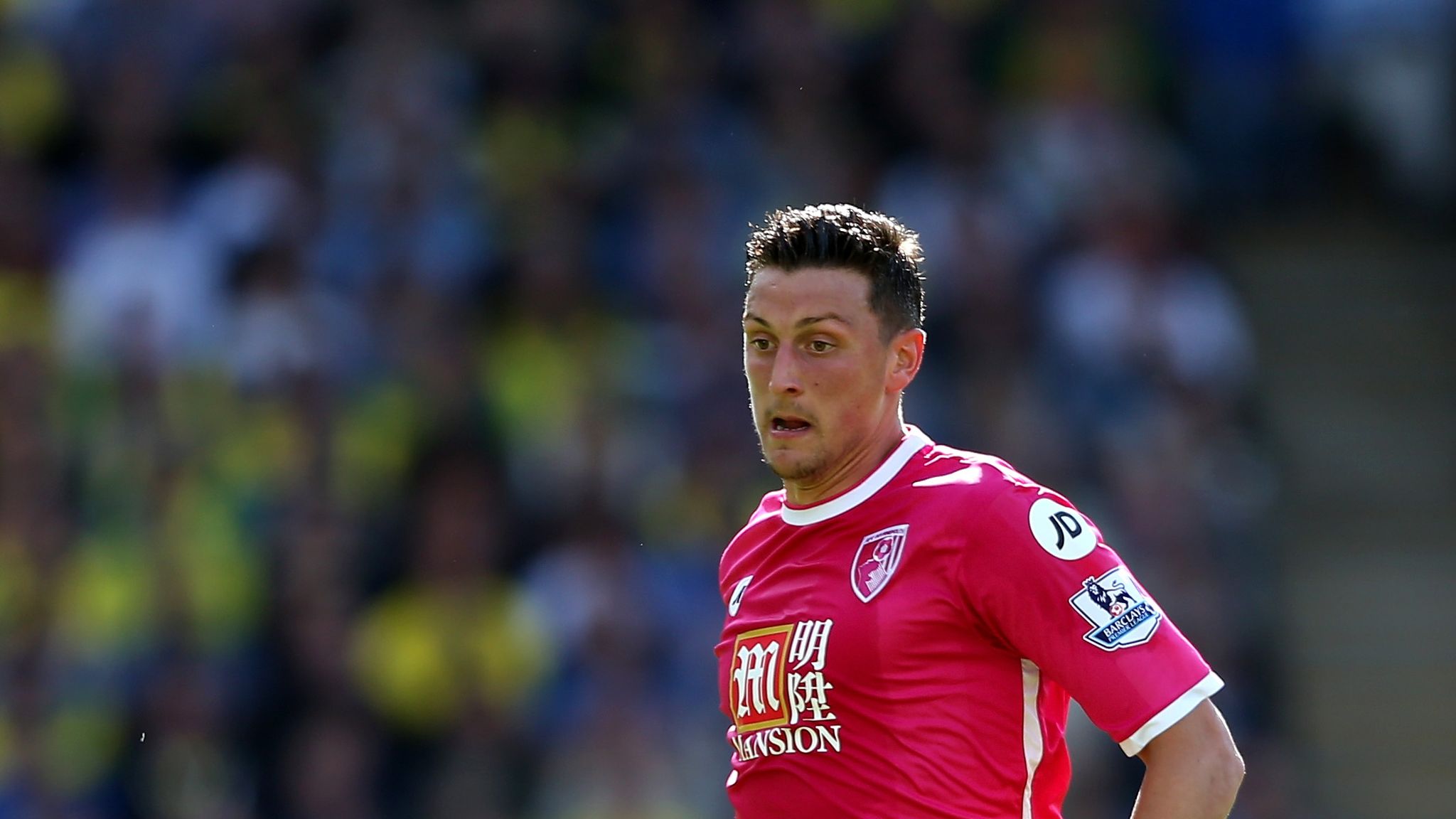 Bournemouth captain Tommy Elphick out for at least 10 weeks | Football ...