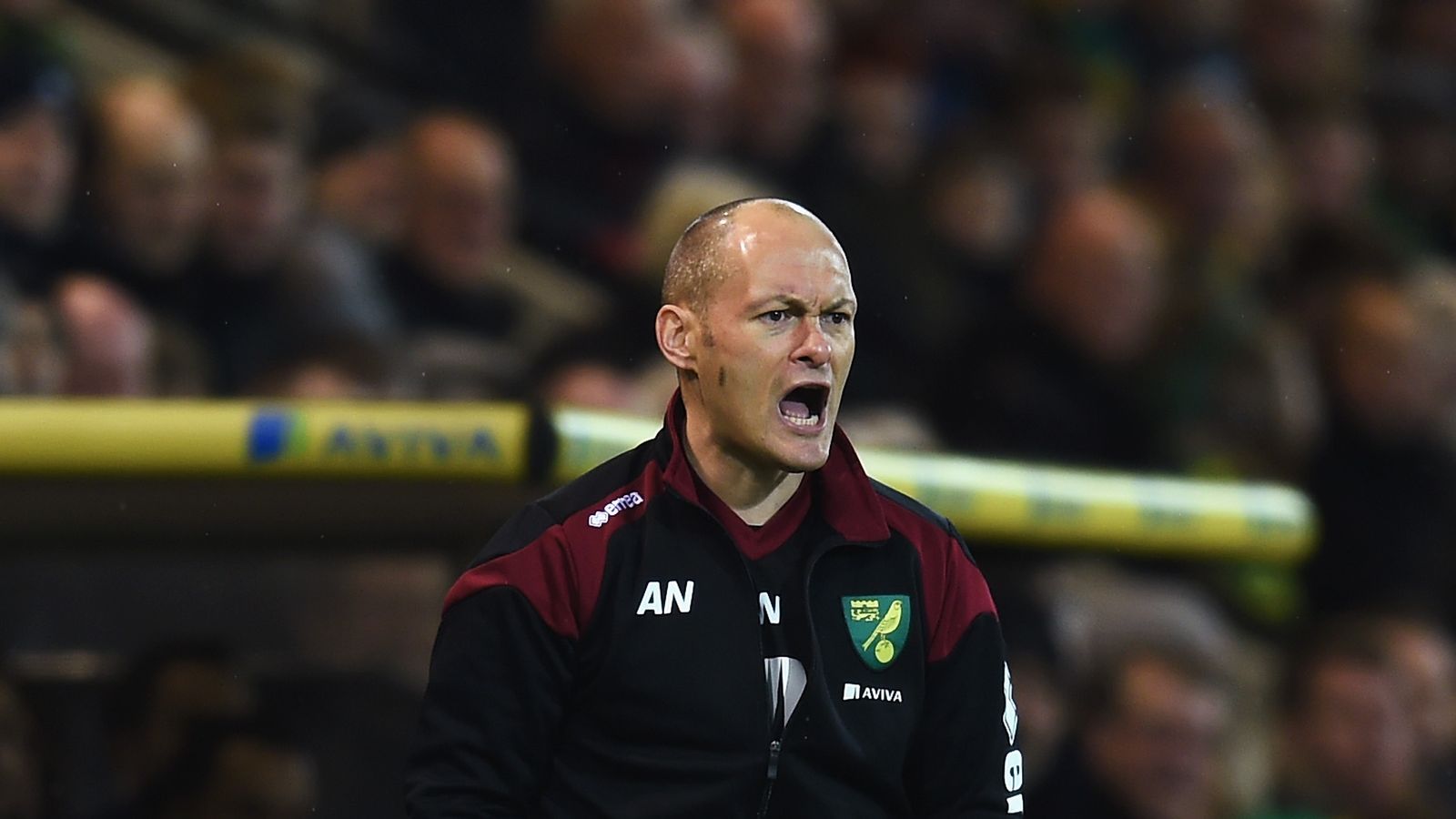 Alex Neil hailed Lewis Grabban's performance against Arsenal | Football ...