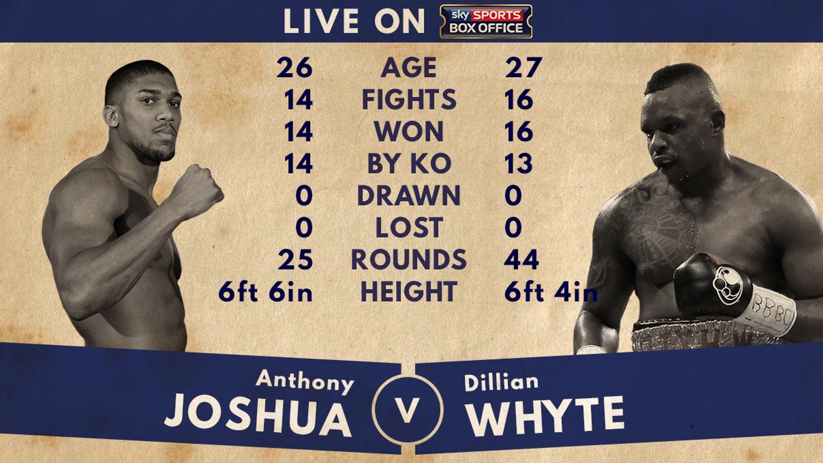 Joshua vs Whyte: Richard Towers reflects on sparring Anthony Joshua and ...