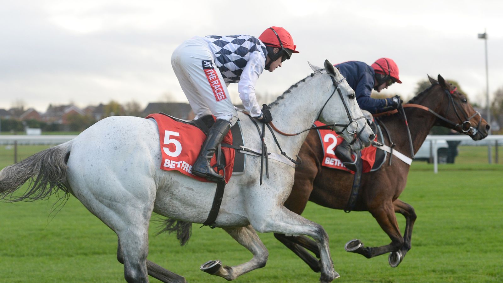 Hammond's Hennessy countdown | Racing News | Sky Sports