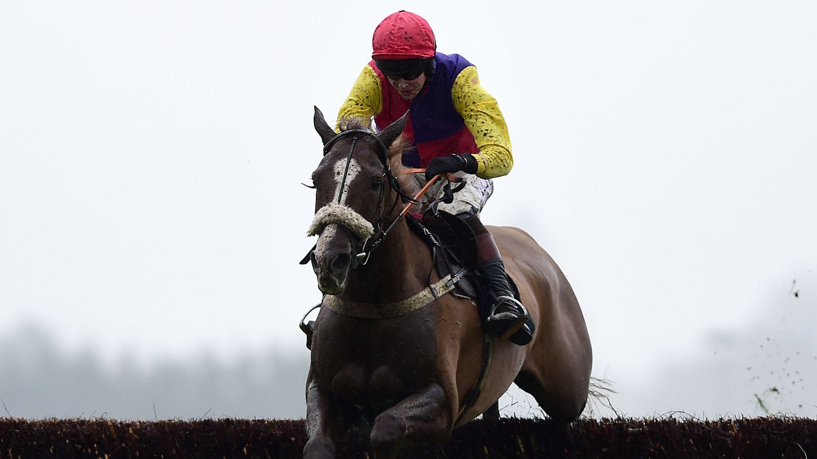 Native River has four-miler option in National Hunt Chase | Racing News ...