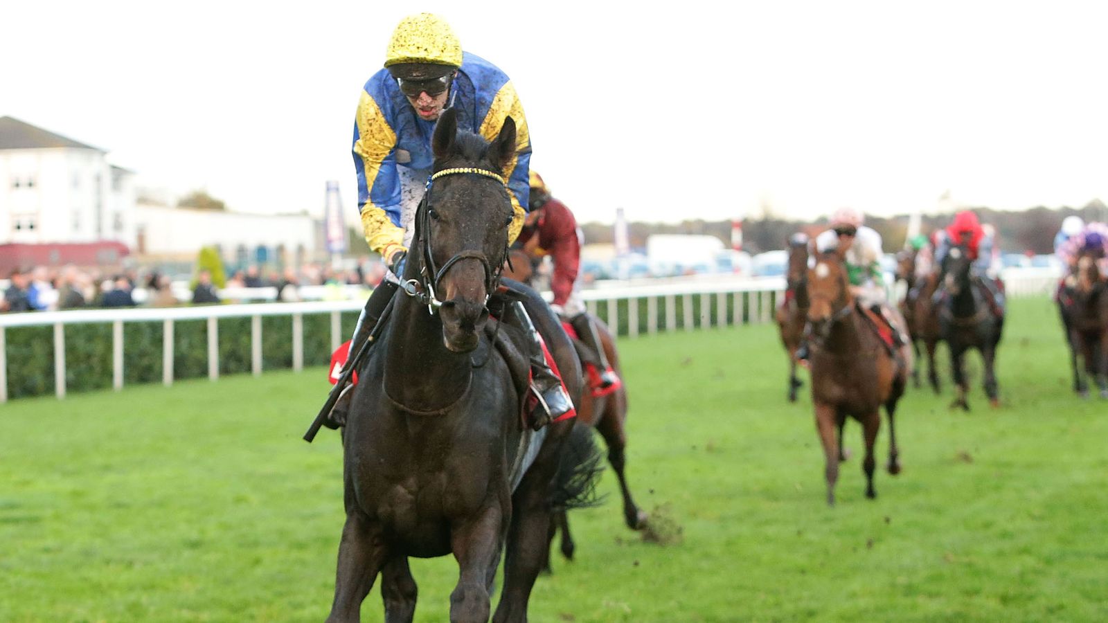 Joe Tuite remembers 'two magic days' after Litigant career | Racing ...