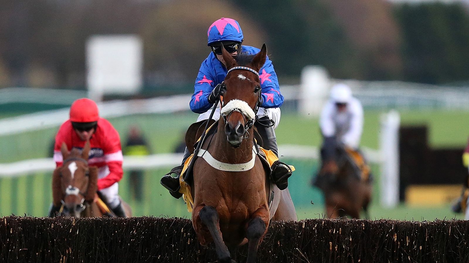 Colin Tizzard to run Cue Card in Charlie Hall Chase at Wetherby ...