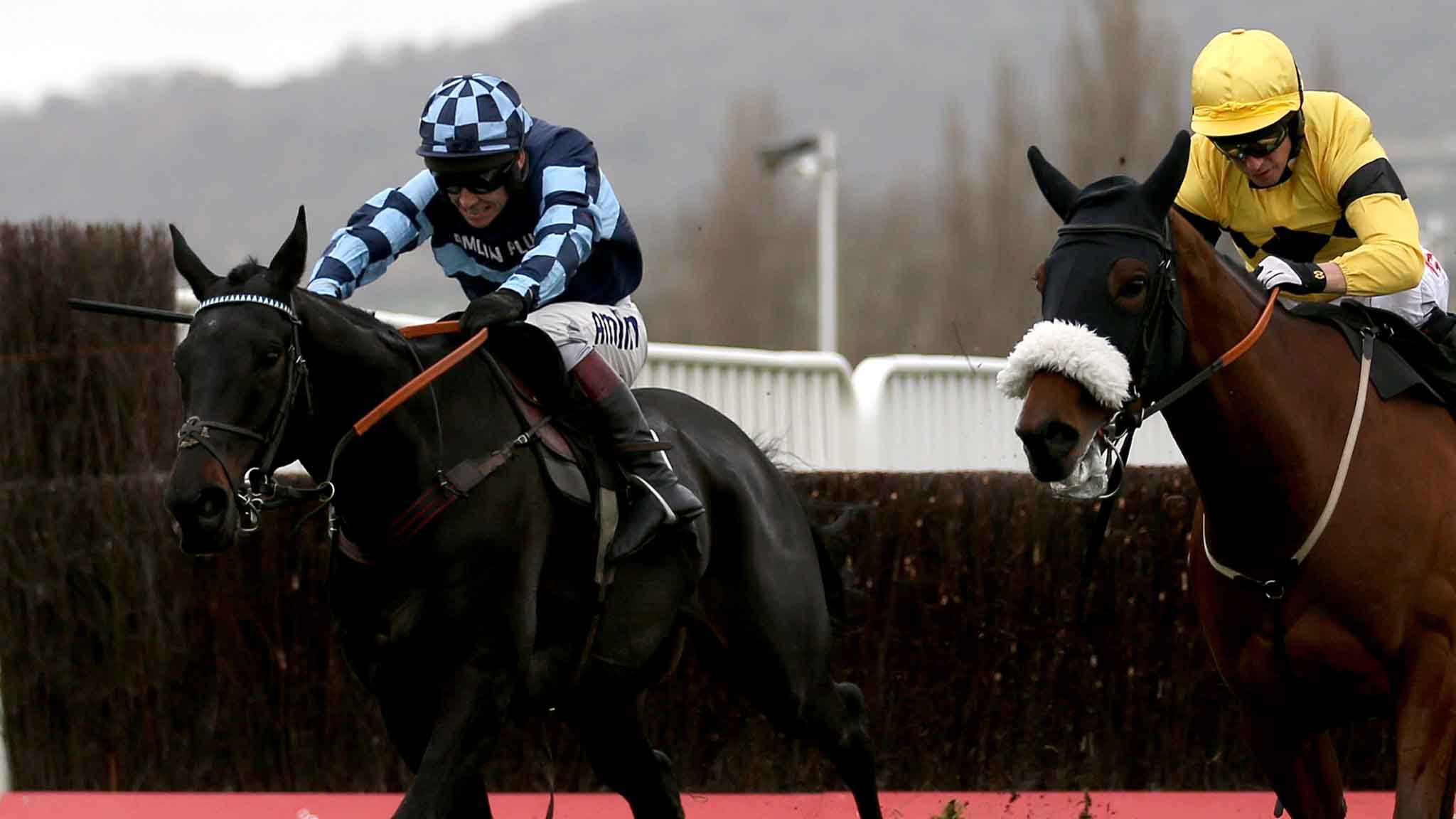 Neil Mulholland: Fox Norton is big price for Arkle Trophy at Cheltenham ...