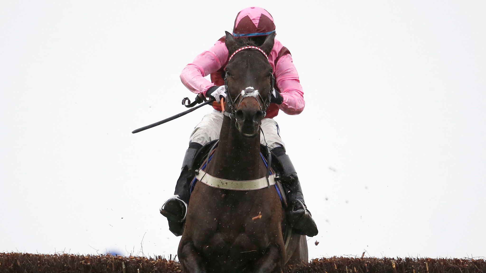 Arzal handed Kempton test by Harry Whittington | Racing News | Sky Sports