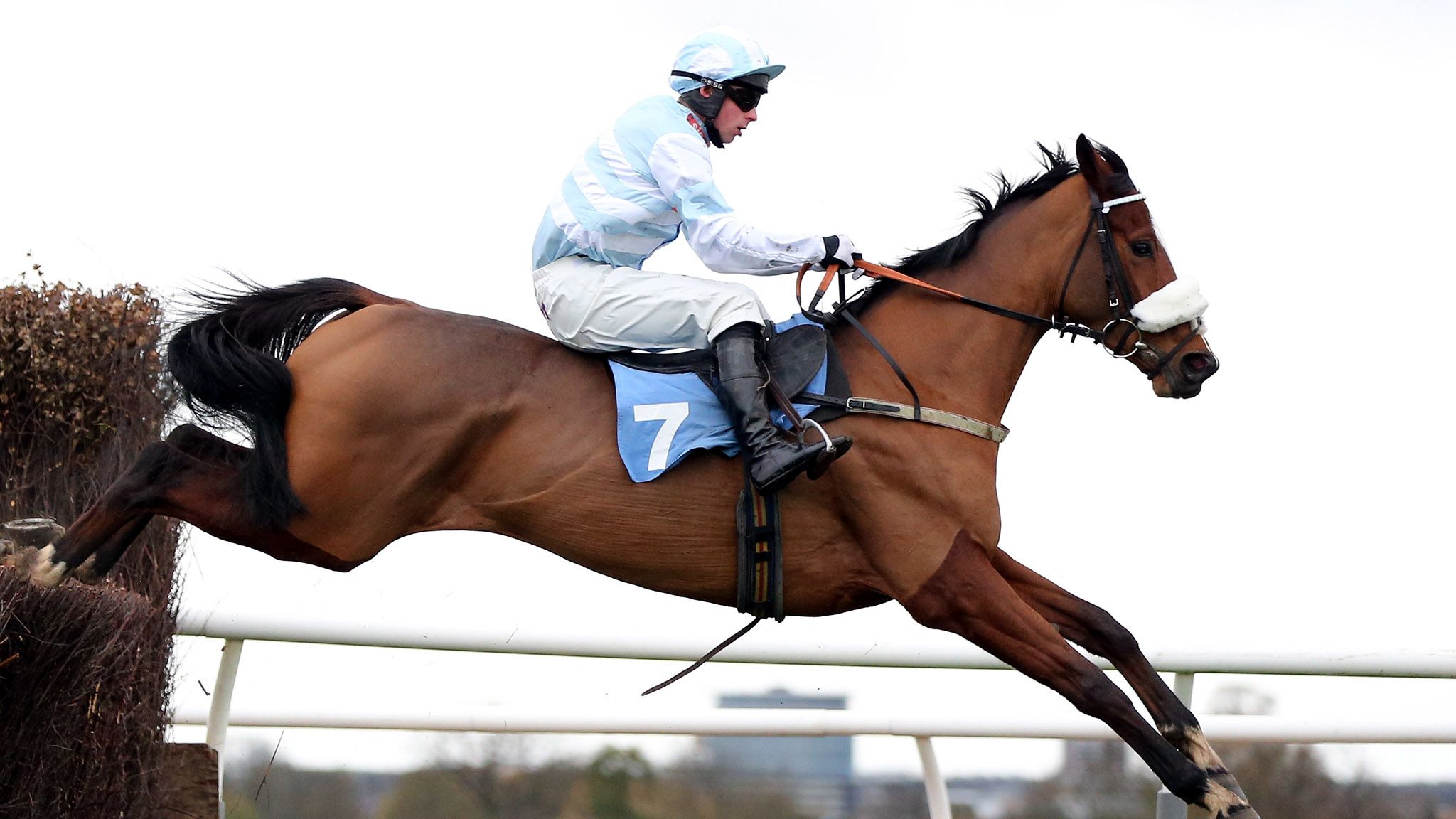 Hennessy Day Gallery | Racing News | Sky Sports