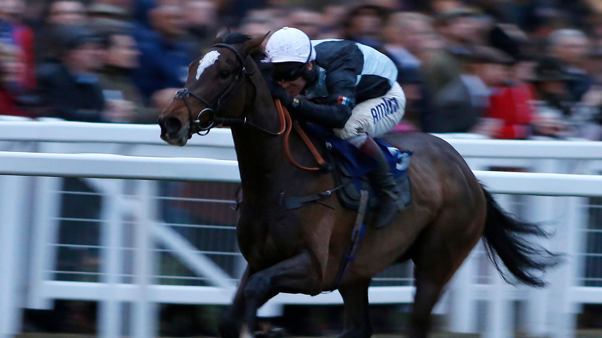 Gallops Report: Philip Hobbs | Racing News | Sky Sports