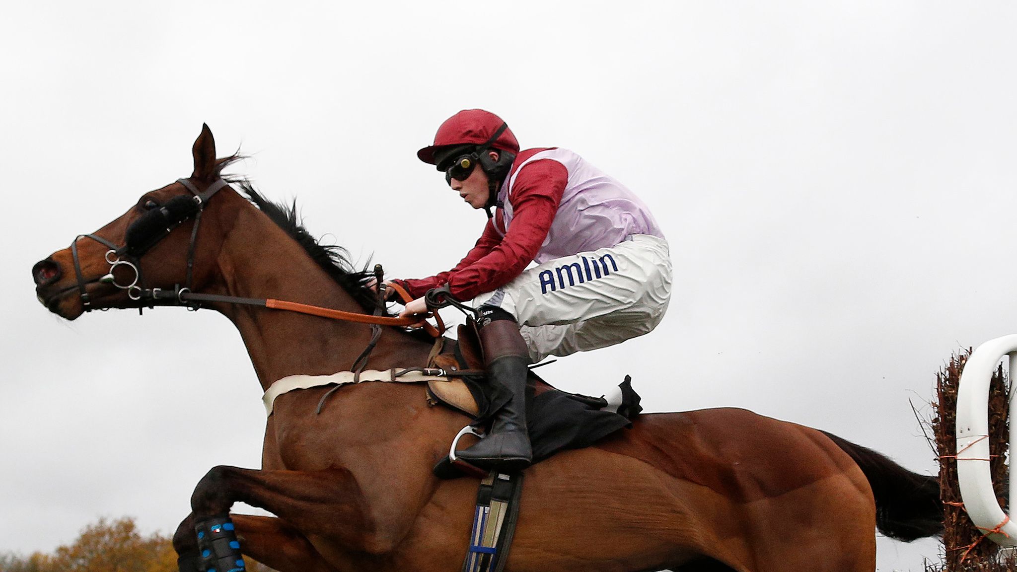 Violet Dancer hands Gary Moore Cheltenham Festival poser | Racing News ...