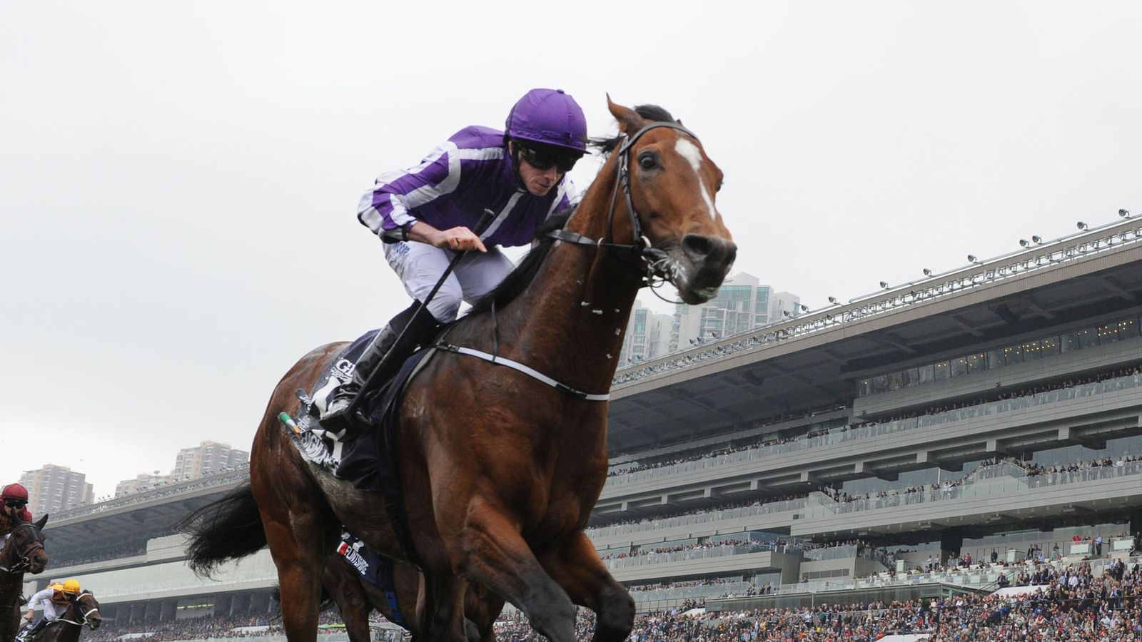 Highland Reel won the Hong Kong Vase from Flintshire | Racing News ... Highland Reel won the Hong Kong Vase from Flintshire | Racing News ...
