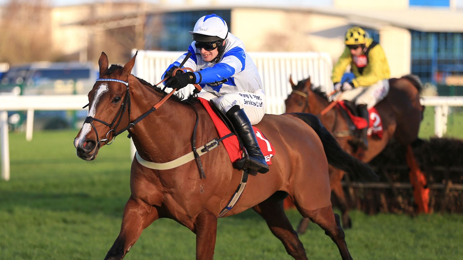 Charlie Brooks interviews trainer Ben Pauling ahead of Cheltenham ...