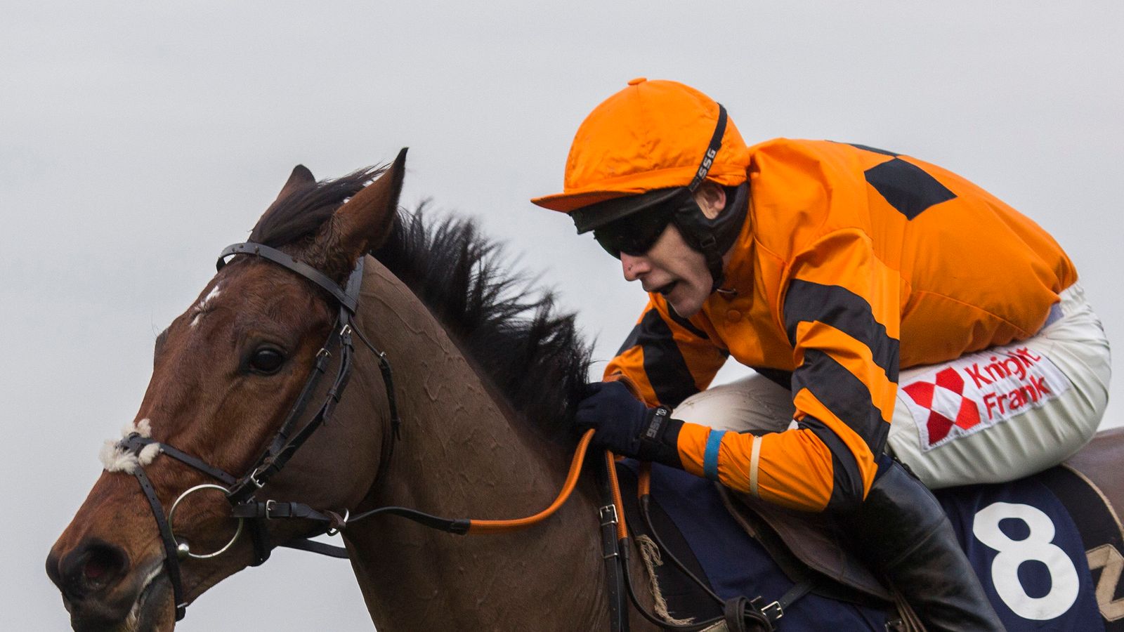 Cheltenham Festival stars keeping Colin Tizzard on his toes | Racing ...