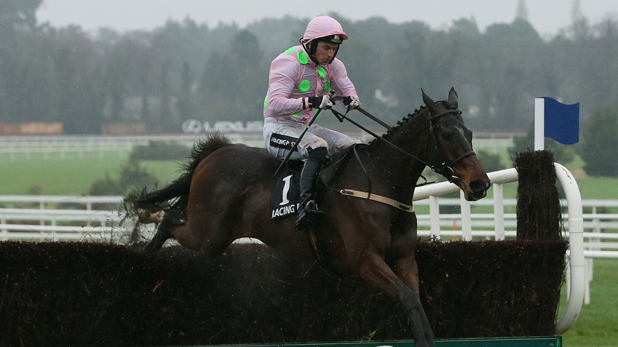 Velvet Maker to take on Douvan in Frank Ward Solicitors Arkle at ...