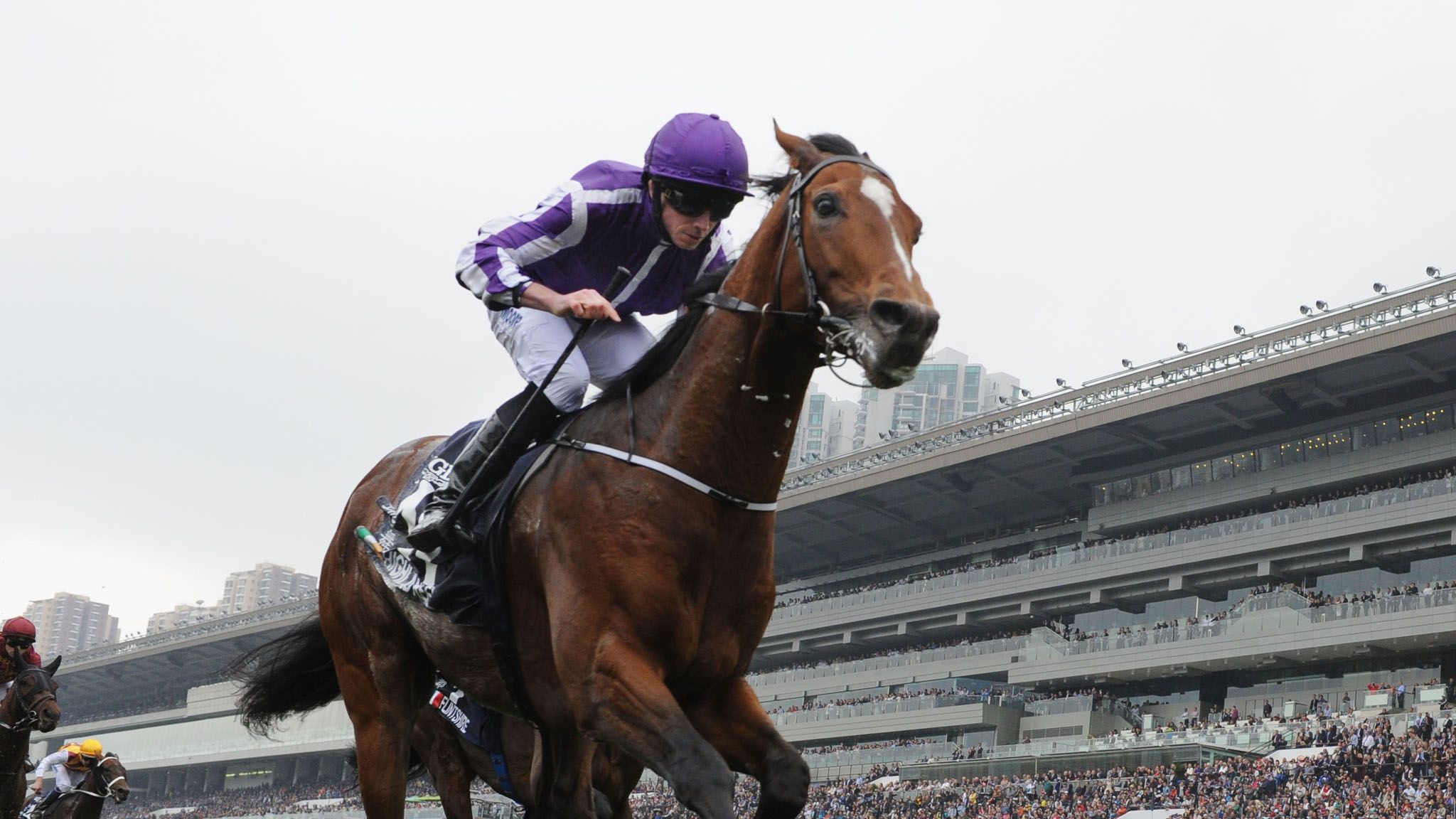 Highland Reel won the Hong Kong Vase from Flintshire | Racing News ... Highland Reel won the Hong Kong Vase from Flintshire | Racing News ...