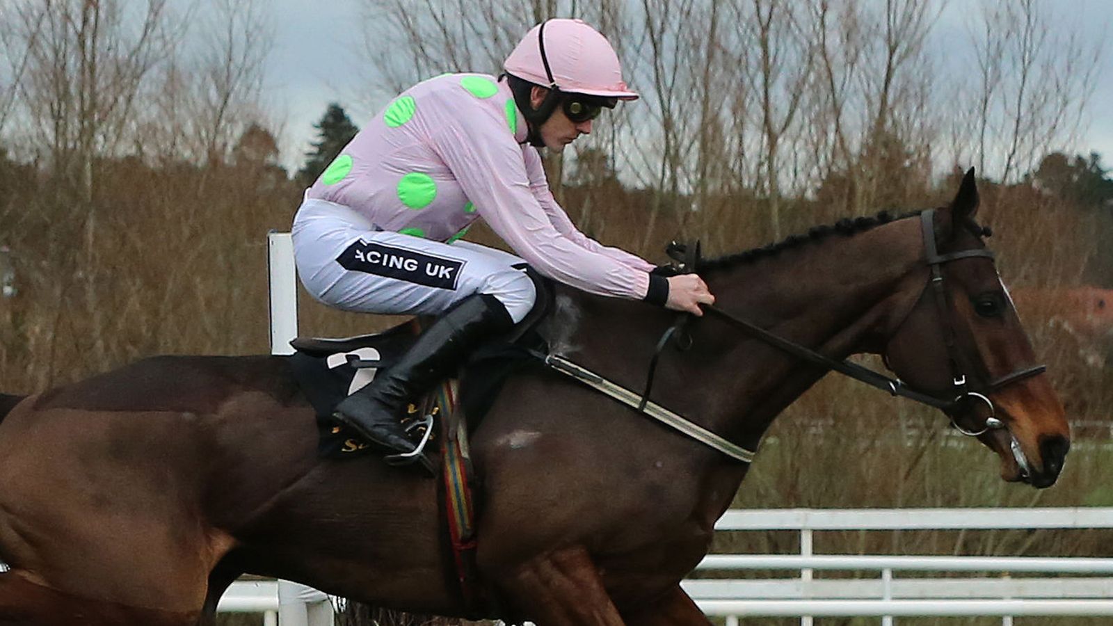 Douvan tops Arkle entries | Racing News | Sky Sports