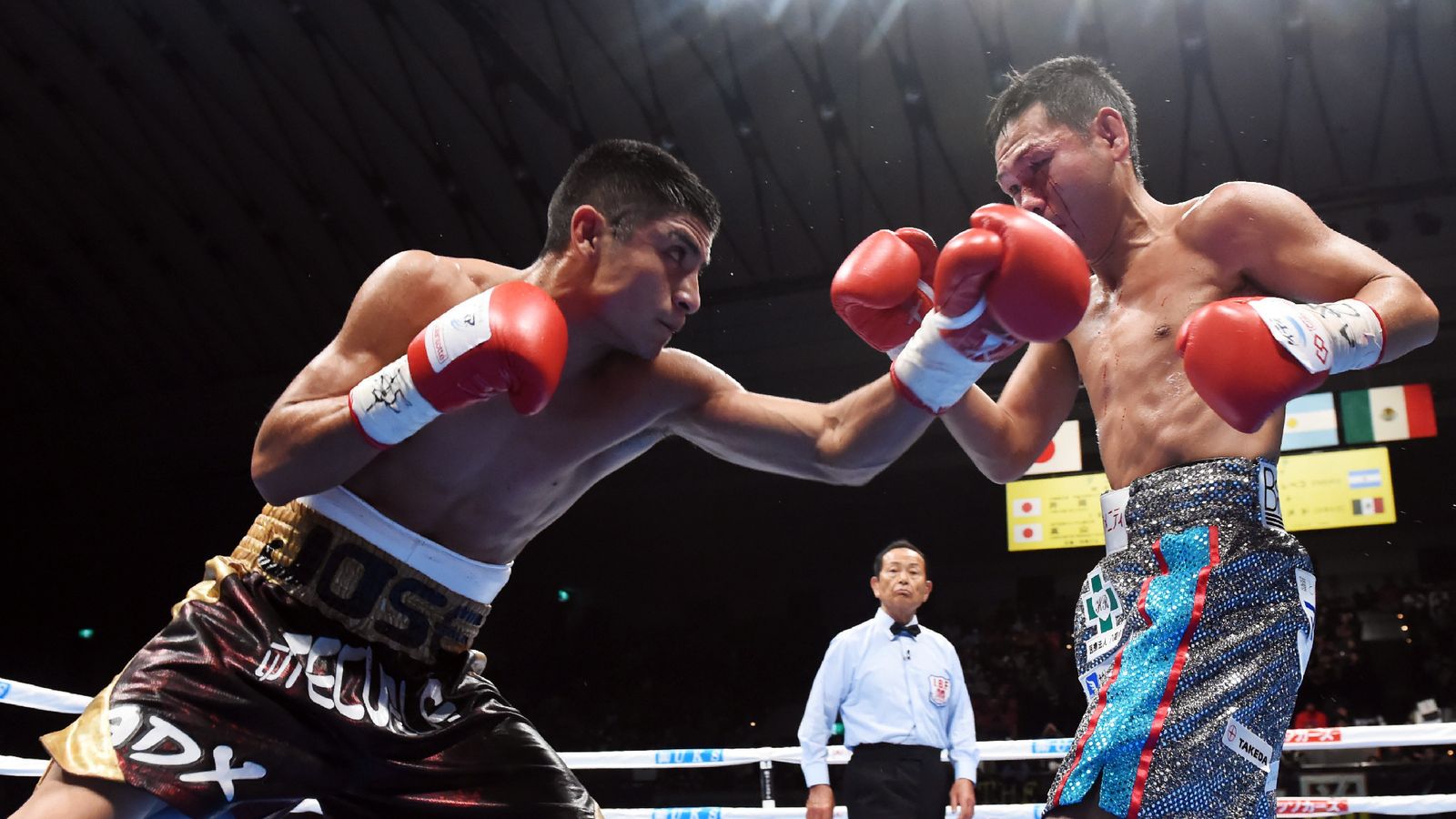 Jose Argumedo stops Katsunari Takayama to win IBF minimumweight title ...