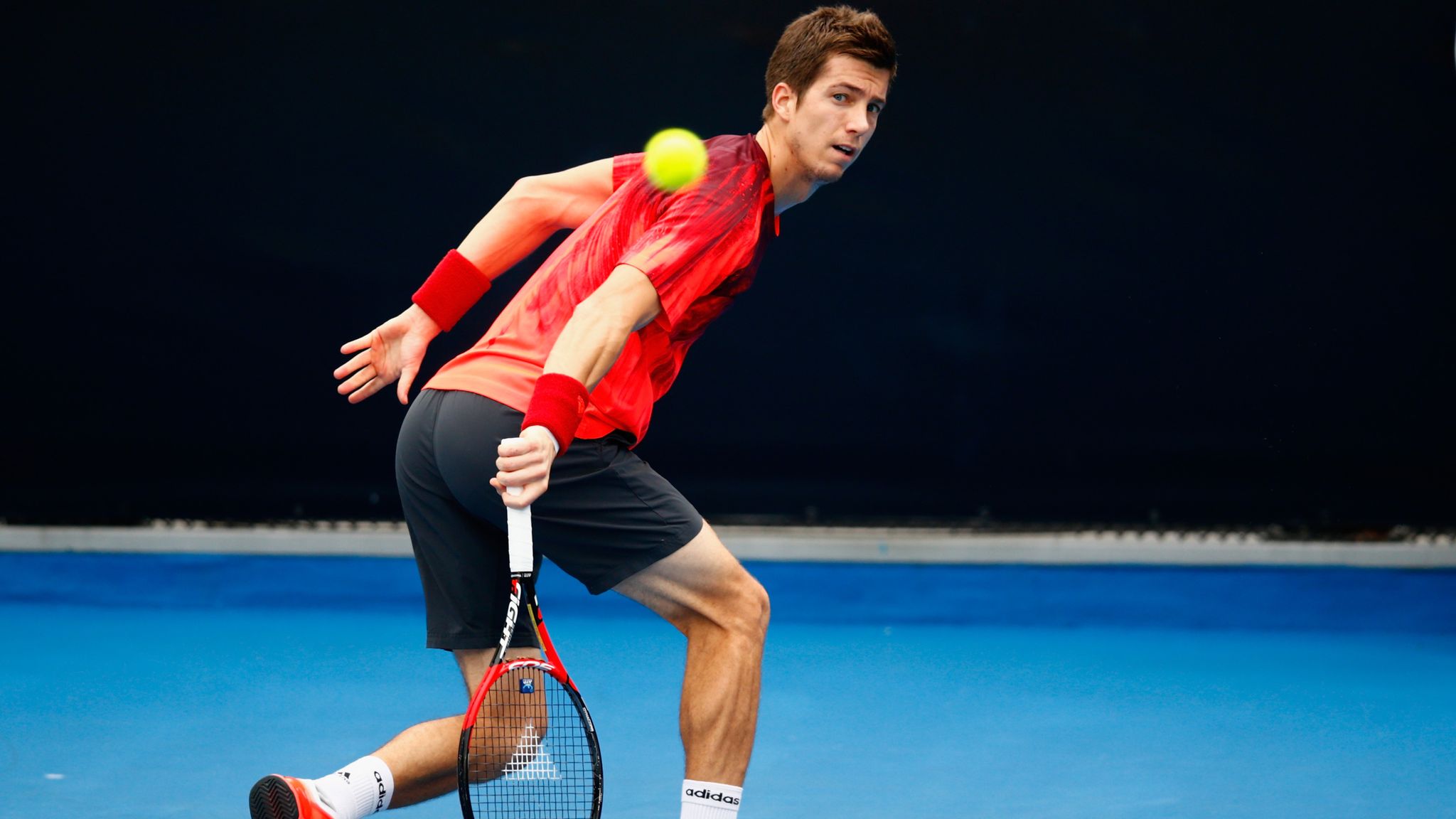 British No 2 Aljaz Bedene retires during opening match in Auckland ...