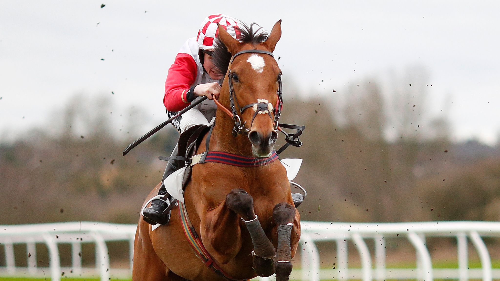Review of the racing from Leicester: Hit The Highway aims at Cheltenham ...