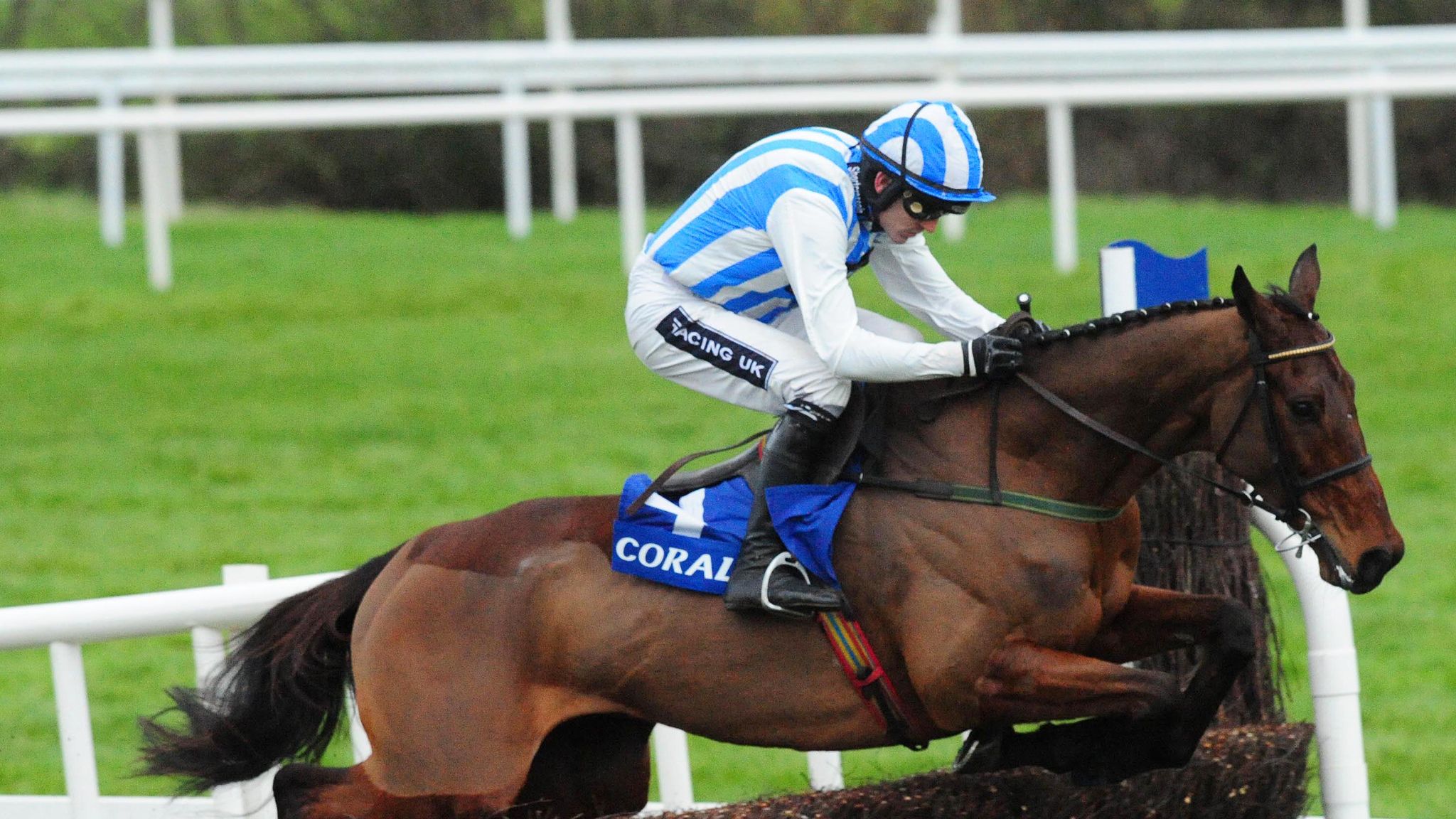 Ruby Walsh left deflated by Killultagh Vic injury | Racing News | Sky ...