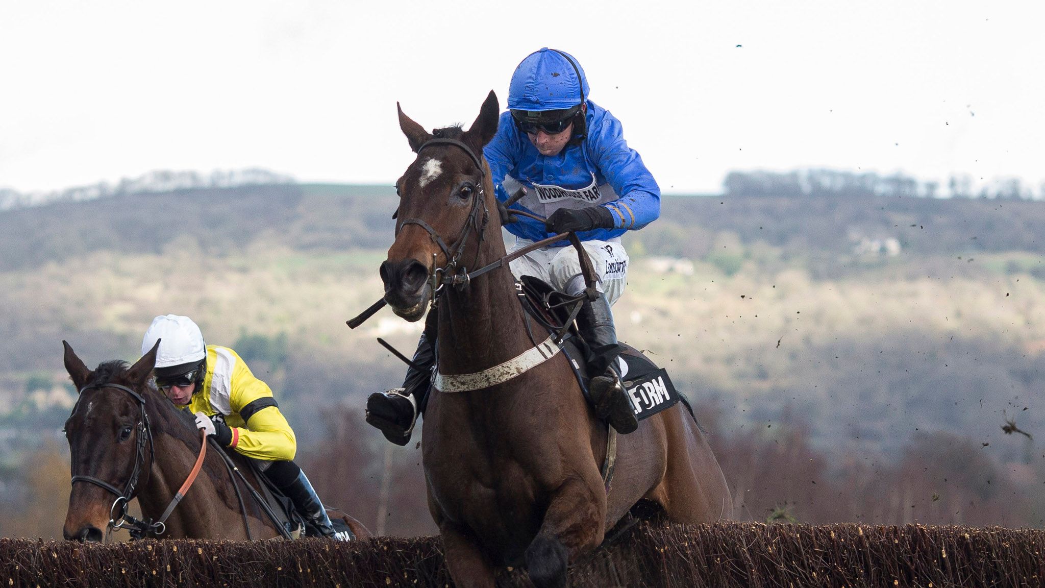 Paddy Power Gold Cup at Cheltenham for Evan Williams' King's Odyssey ...