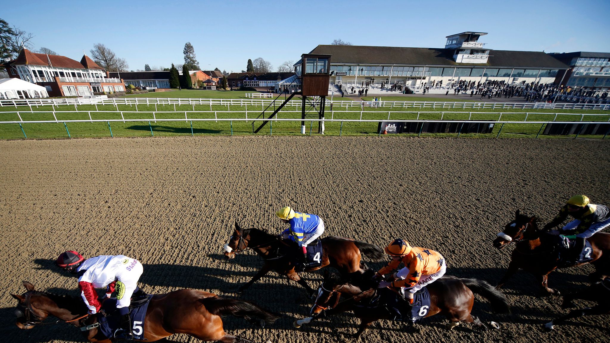Acclio lands Lingfield opener for trainer James Tate | Racing News ...