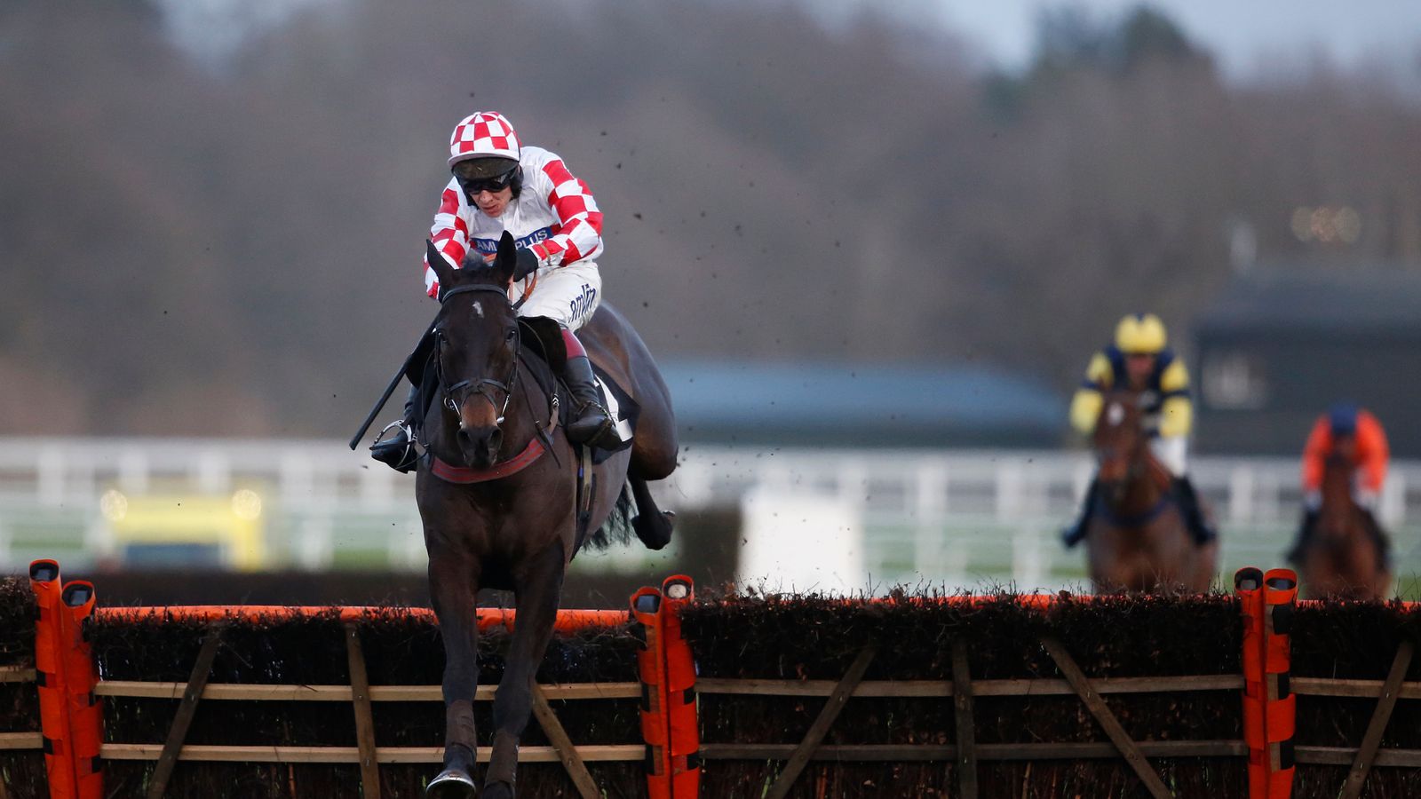 One Jump Ahead: Six to follow for the 2016/17 jumps season from Mark ...