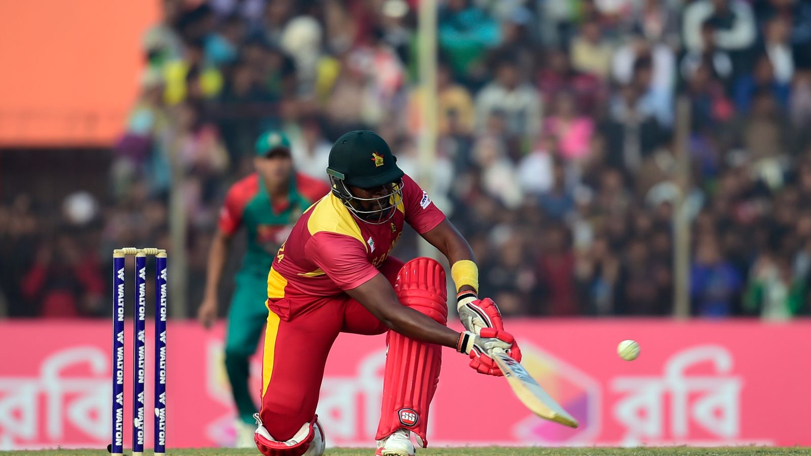 ICC World Twenty20: Zimbabwe team guide | Cricket News | Sky Sports