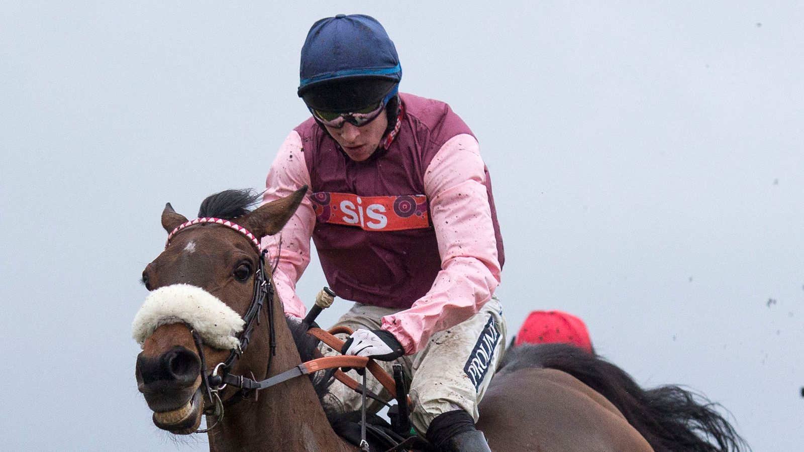 Warren Greatrex to run Out Sam at Cheltenham Festival | Racing News ...