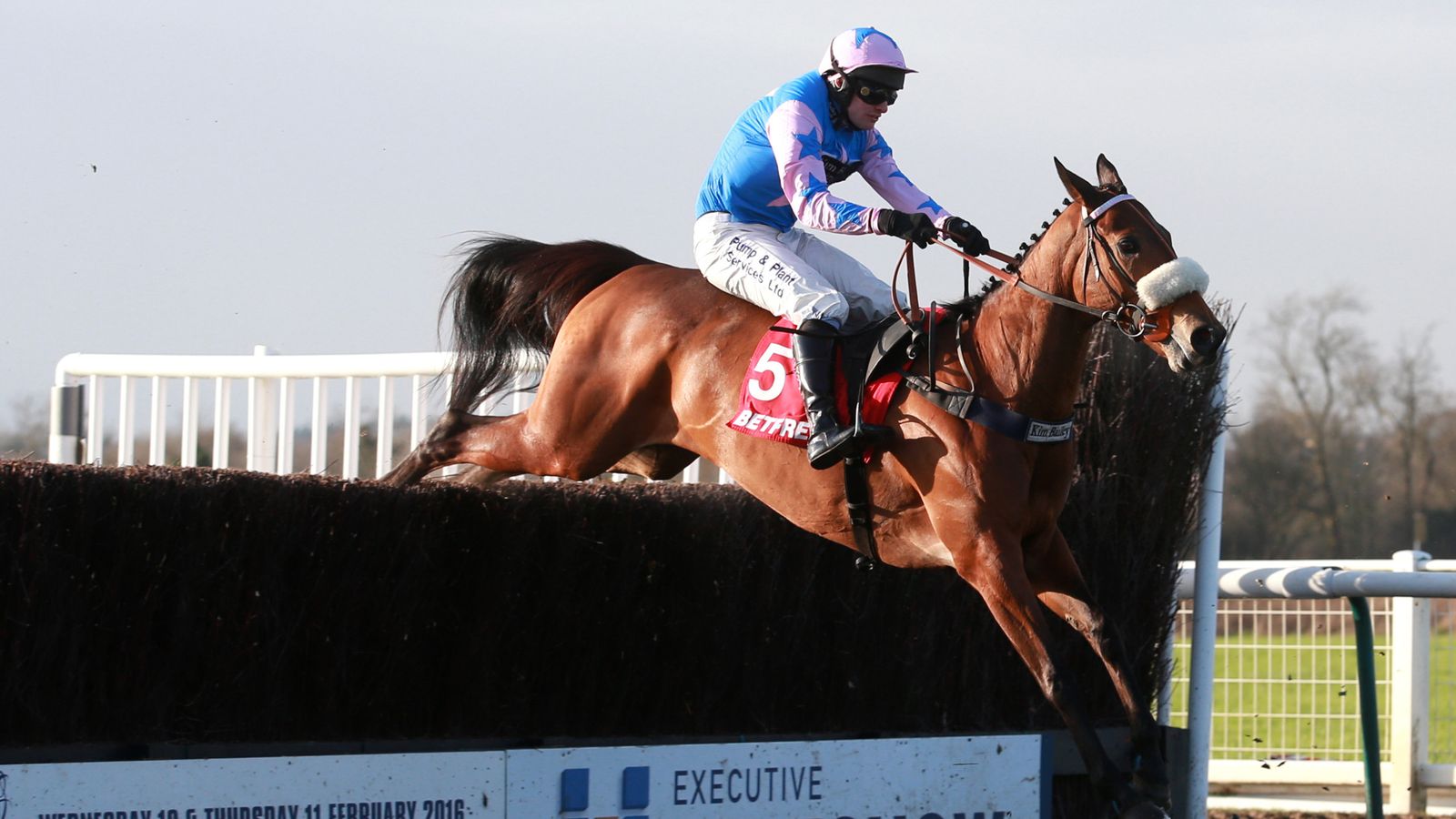 Alan Fleming has Gwencily Berbas ripe for Fairyhouse Strawberry surge ...